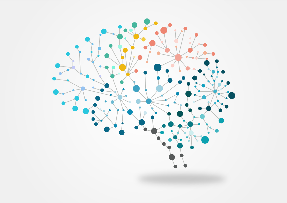 Does learning a language affect the structure of your brain? - Sharjah ...